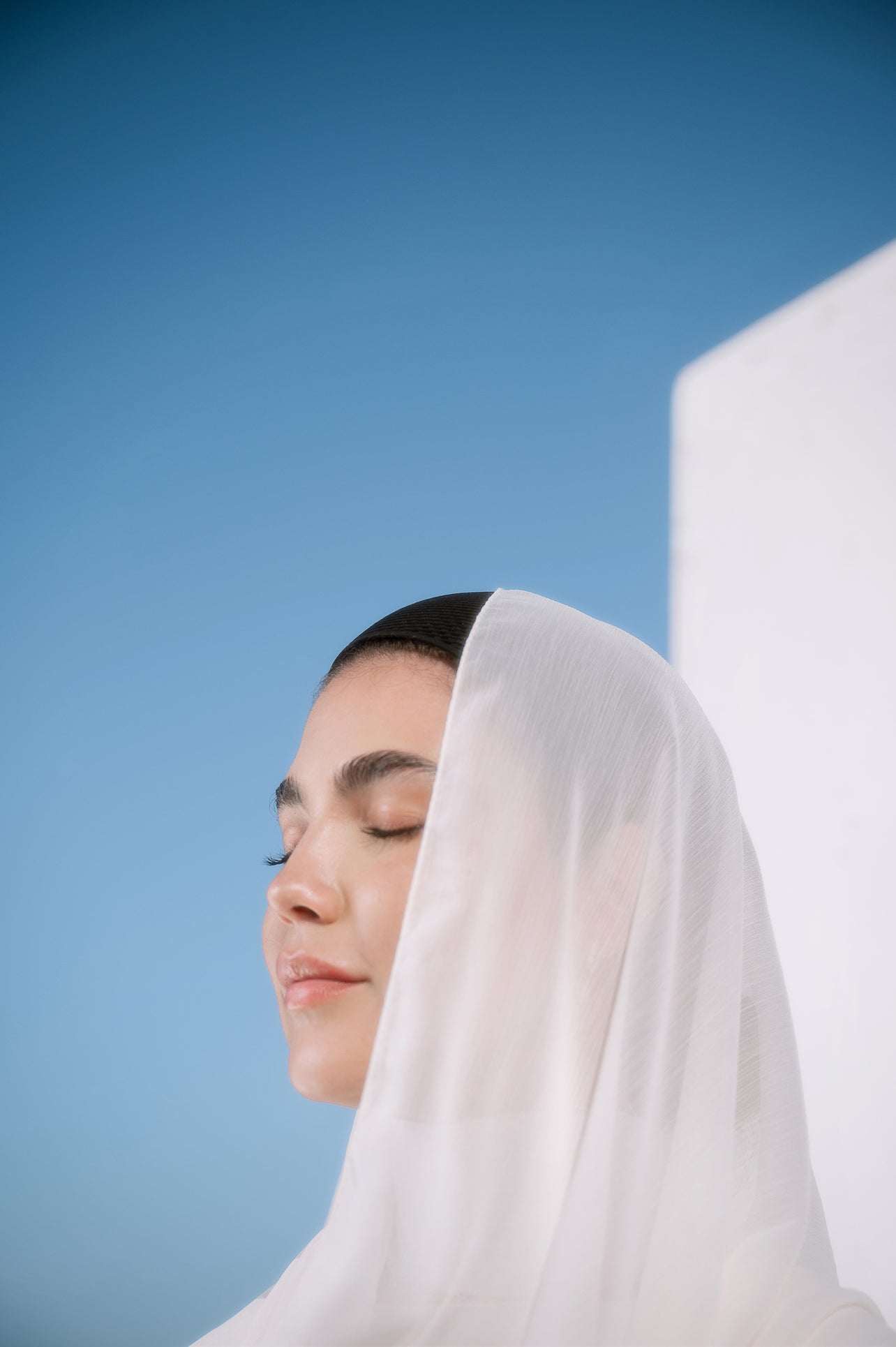 The TAJ Crown – MyTAJ